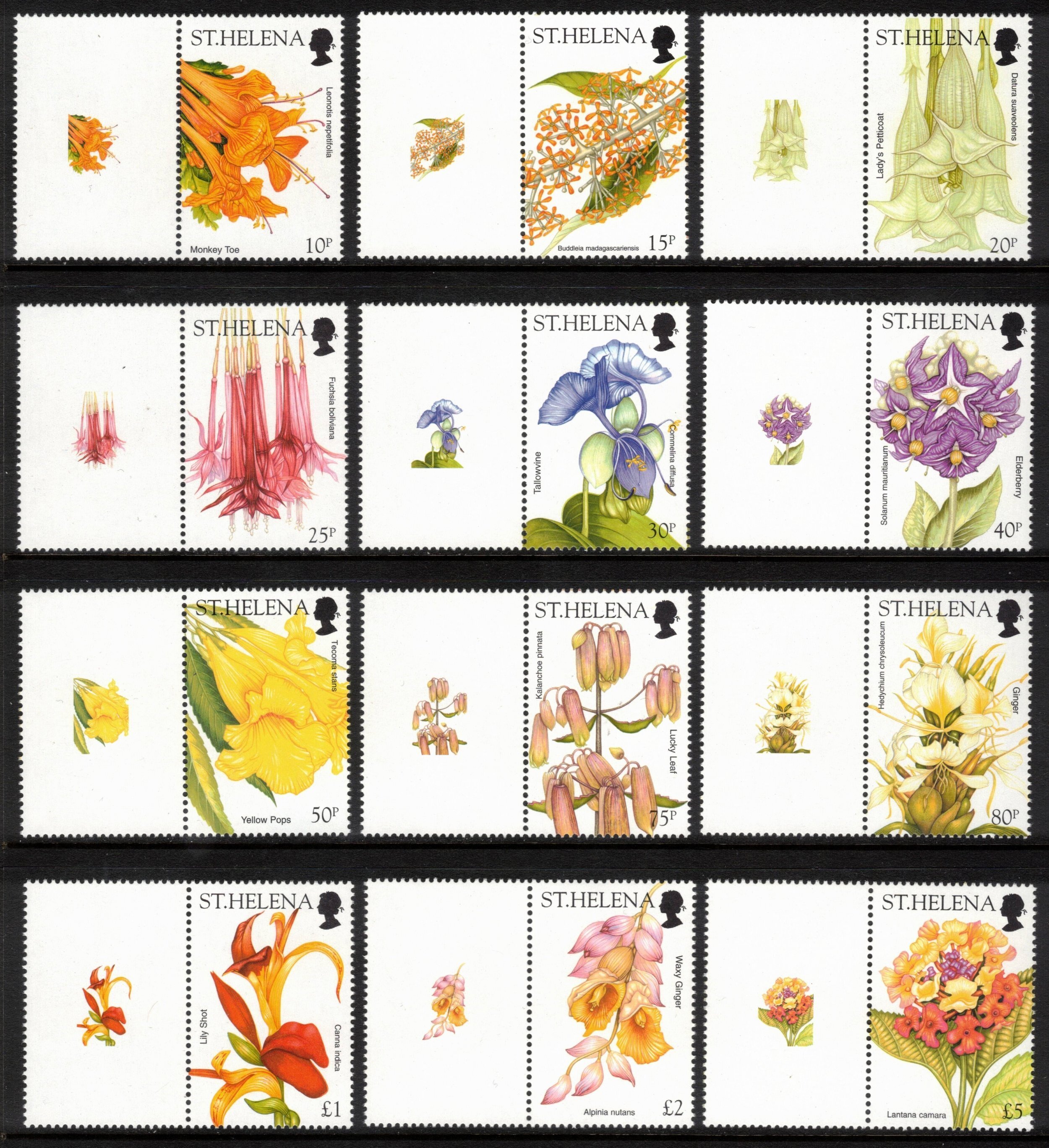 ST HELENA 2003 Wild Flowers; Scott 824-35, SG 893-904; MNH | Worldwide ...