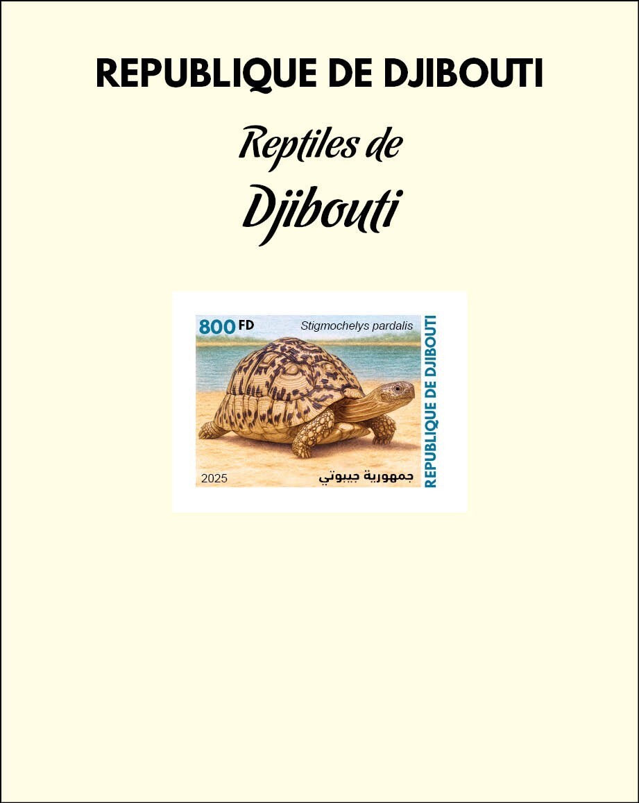 Djibouti 2025 4 X Deluxe Proof - Reptiles - Turtle Turtles Snakes ...