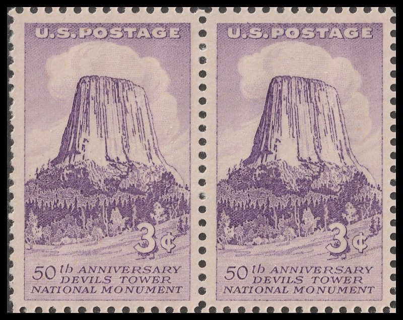 US 1084 50th Anniv Devils Tower National Monument 3c horz pair MNH 1956 ...