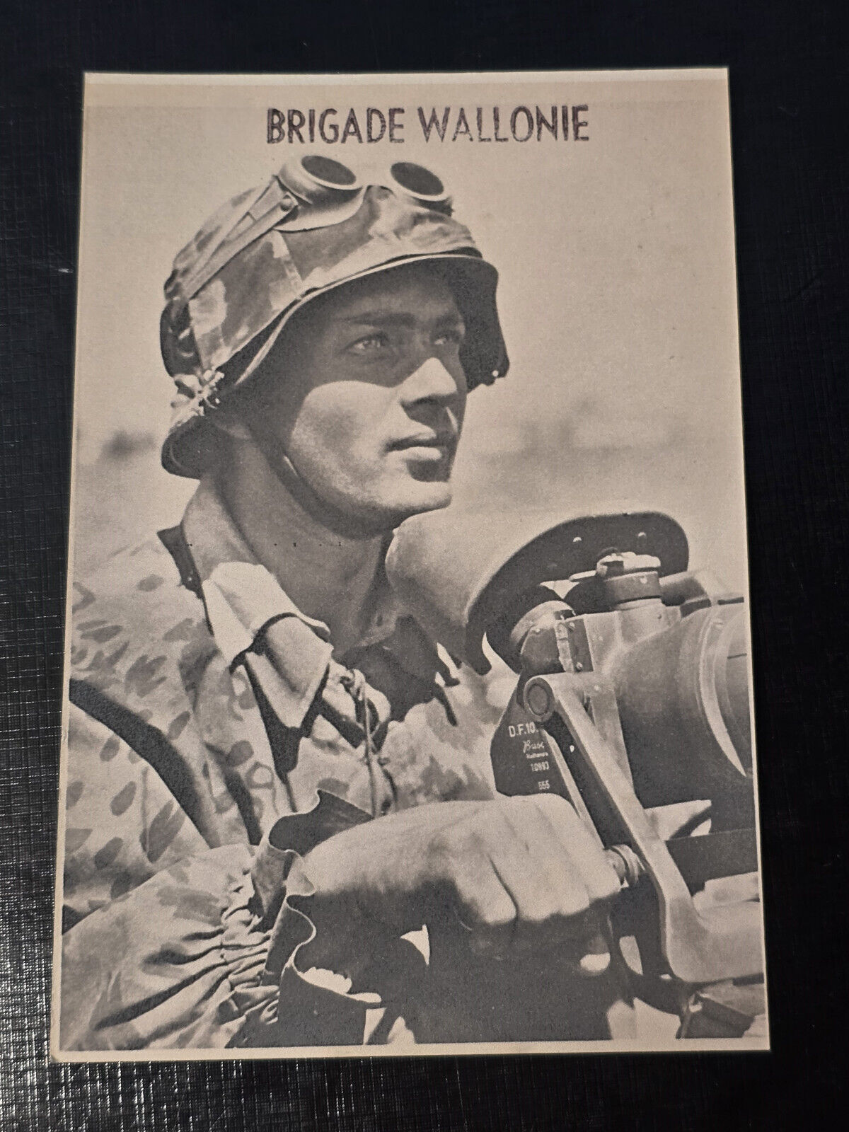 GERMANY ELITE BRIGADE WALLONIE SOLDIER WW2 WWII Nazi German Third Reich ...