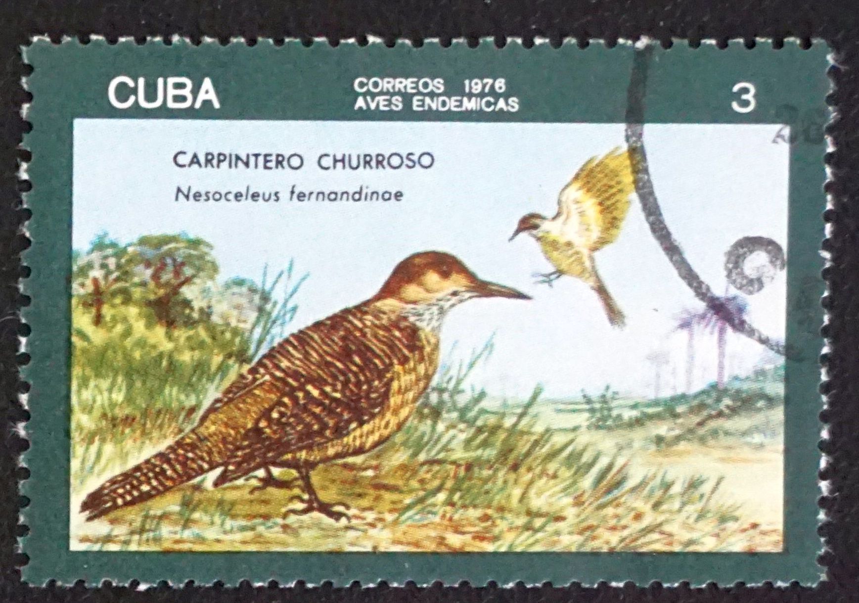 Cuba Sc# 2071 INDIGENOUS BIRDS 3c 1976 used / cto | Caribbean - Cuba ...