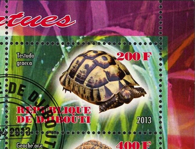 Turtle Geochelone Elegans Grass Souvenir Sheet of 4 Stamps | Worldwide ...