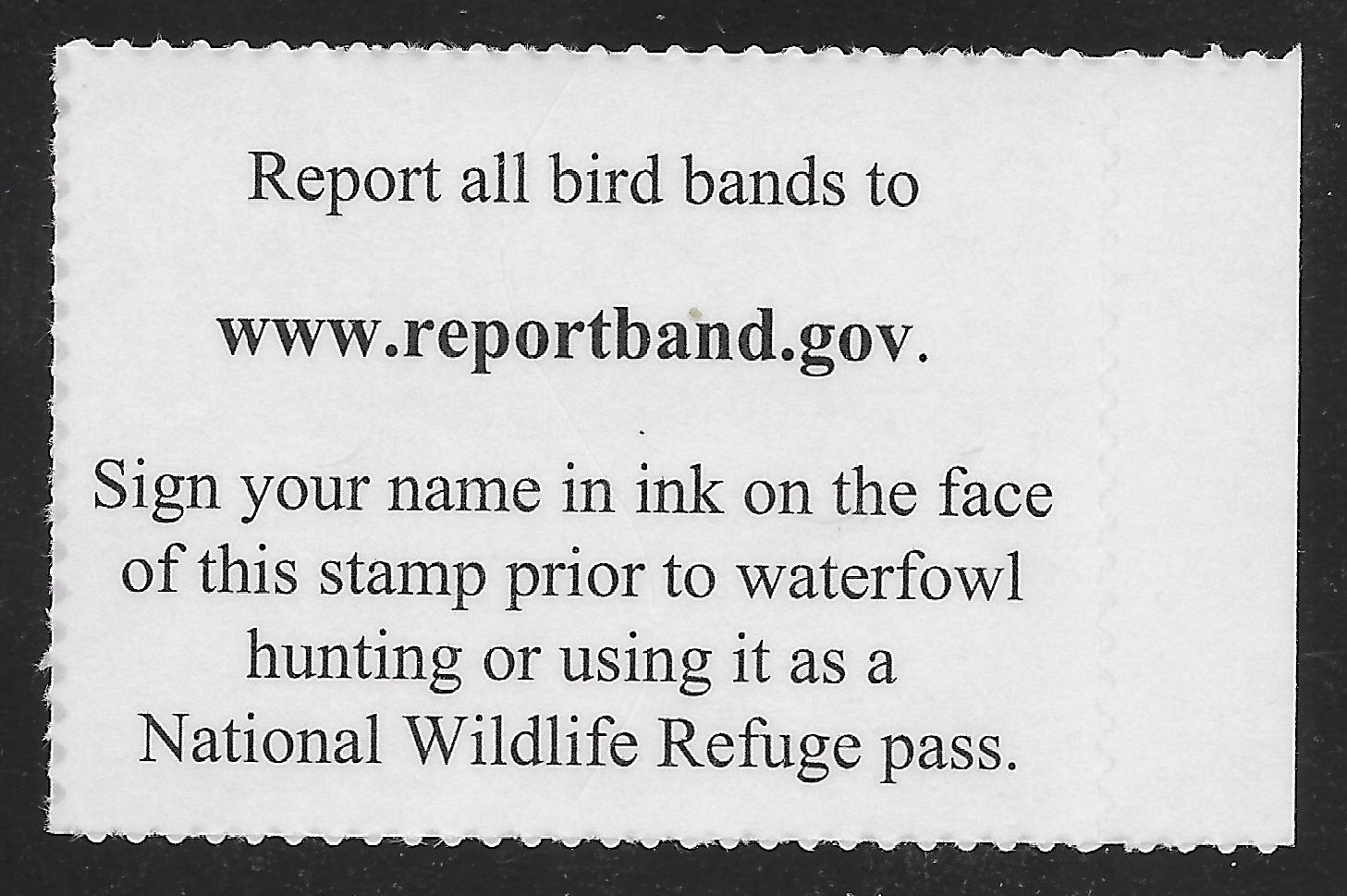 US #RW90 $25 Duck Stamp - Tundra Swans ~ MNH | United States, Duck ...