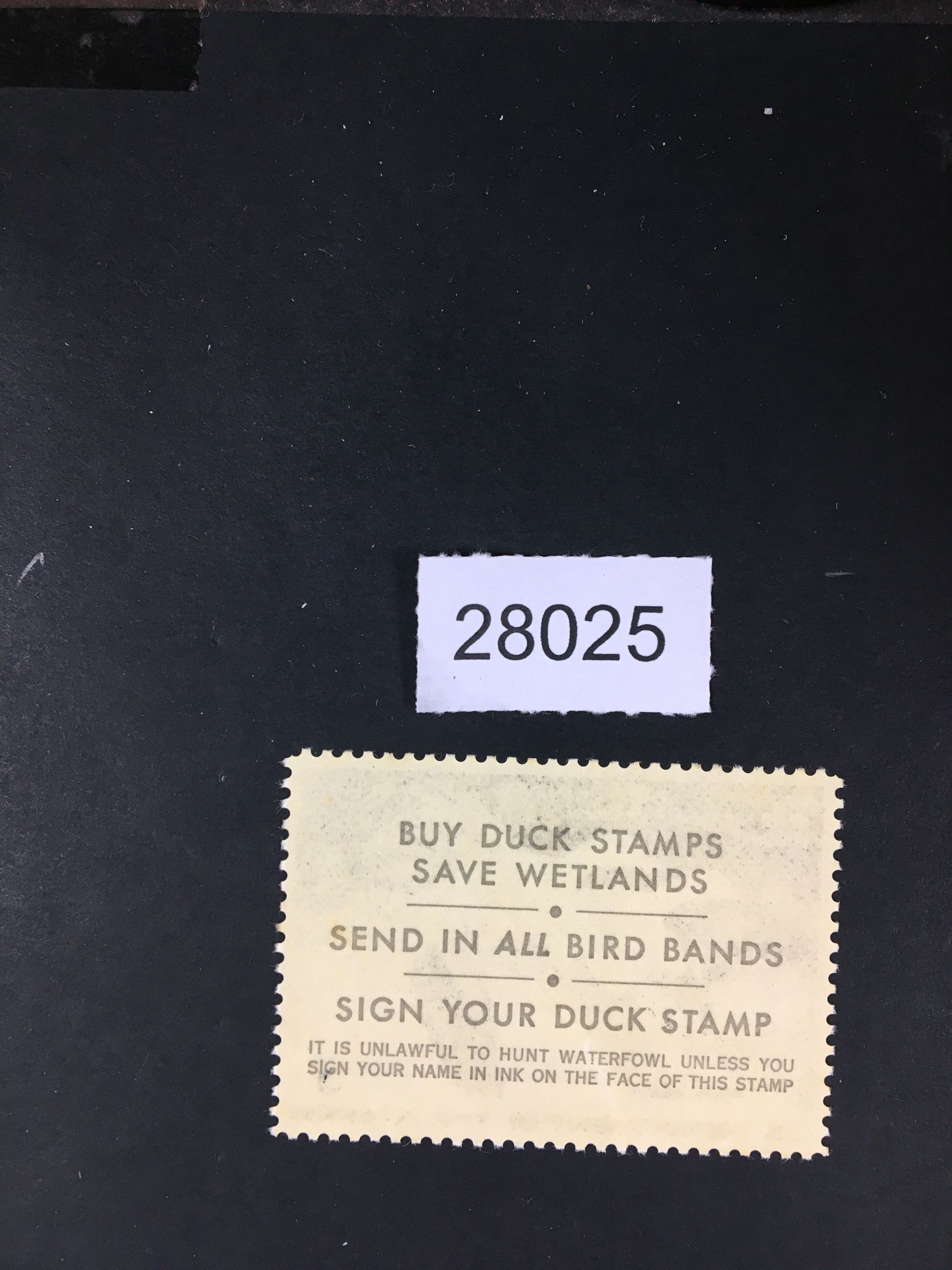 US Stamps # Rw44 Mint OG NH LOT #28025 | United States, Duck Stamps ...