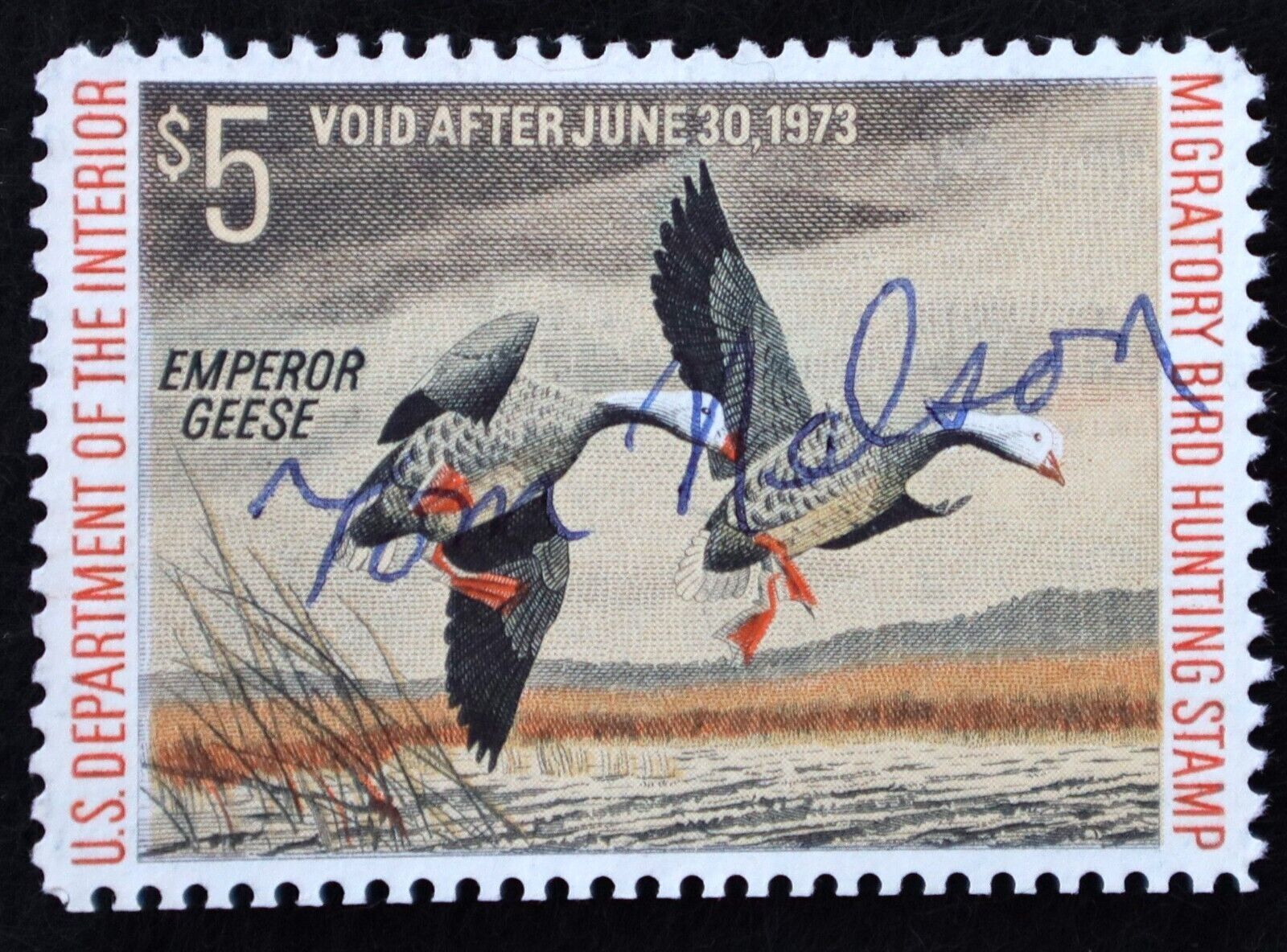 U.S. Used Stamp Scott #RW39 $5 Federal Duck Hunting, Superb. A Gem ...