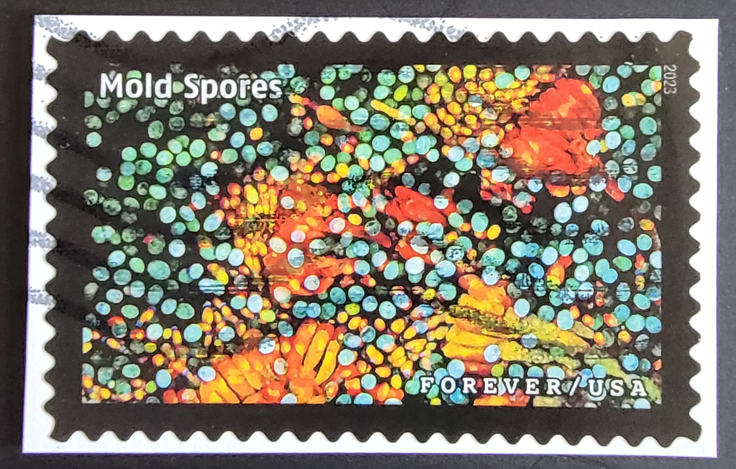 US 5802q (2023 Life Magnified - Mold Spores) | United States, General ...