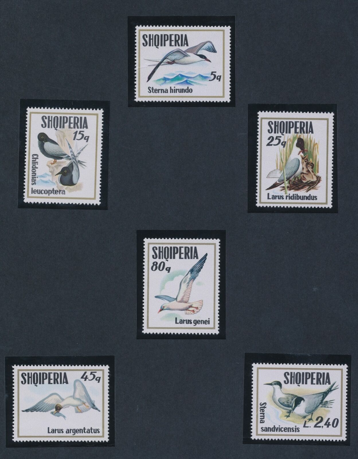 1973 Albania, Shqiperia, Birds - Birds, N° 1620/25 , MNH | Europe ...