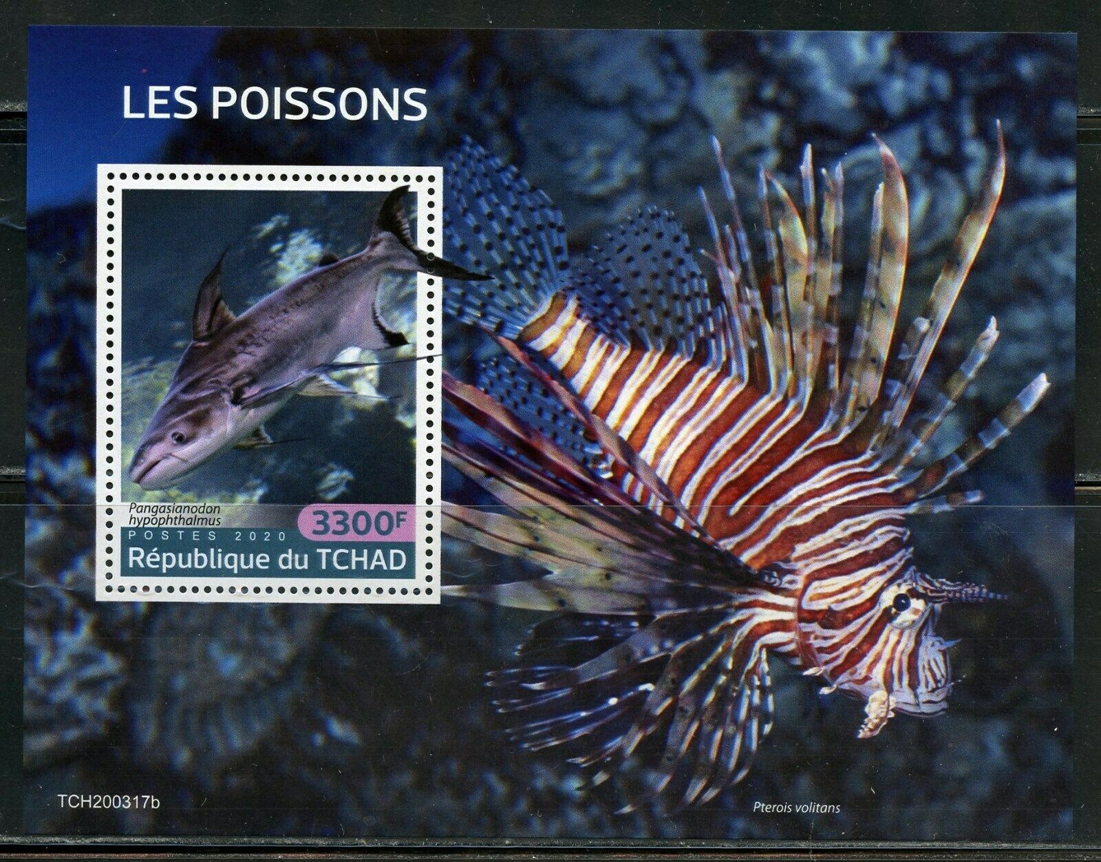 Chad 2020 Fish Souvenir Sheet Mint Never Hinged | Africa - Chad, Stamp ...
