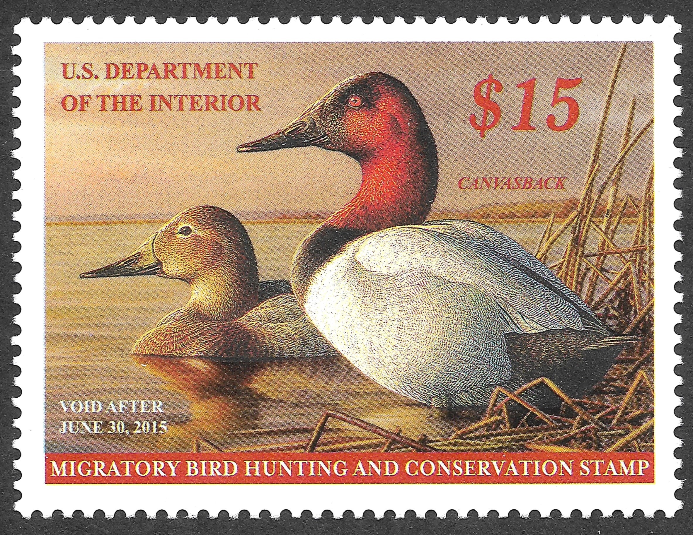 MNH 2014 Scott #RW81** Federal Duck Stamp | United States, Duck Stamps ...
