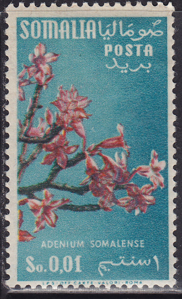 Somalia 198 Adenium Somalense 1955 | Africa - Somalia, General Issue ...