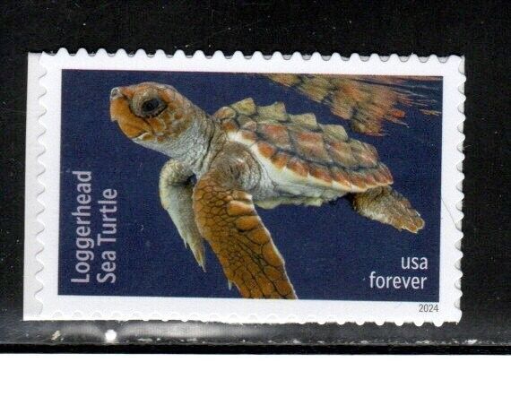 5868 * Loggerhead ~ SEA Turtles * U.S. Forever Postage Stamp MNH ...
