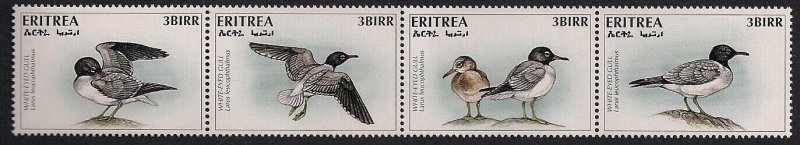 Eritrea Stamp 262 - White-eyed gull | Africa - Eritrea, Stamp / HipStamp