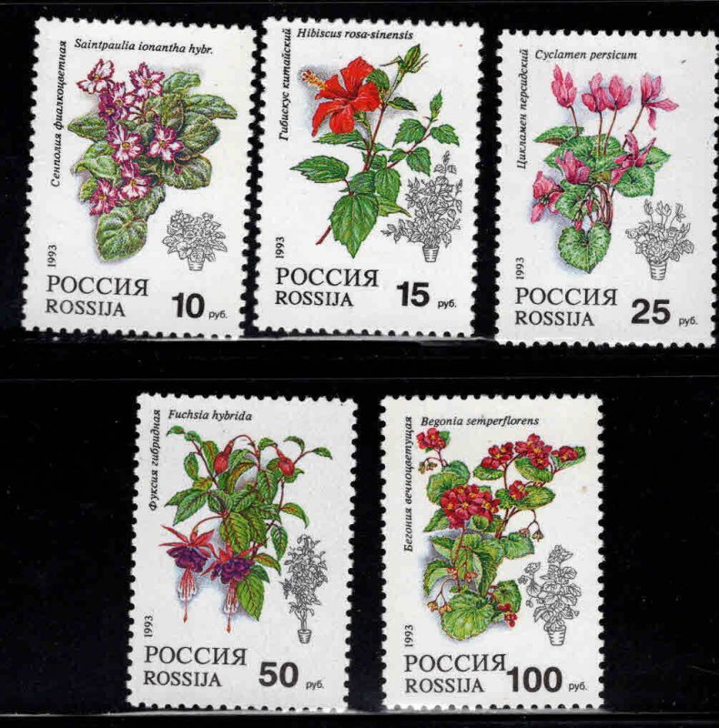 Russia Scott 6133-6137 MNH** Flower stamp set | Europe - Russia ...