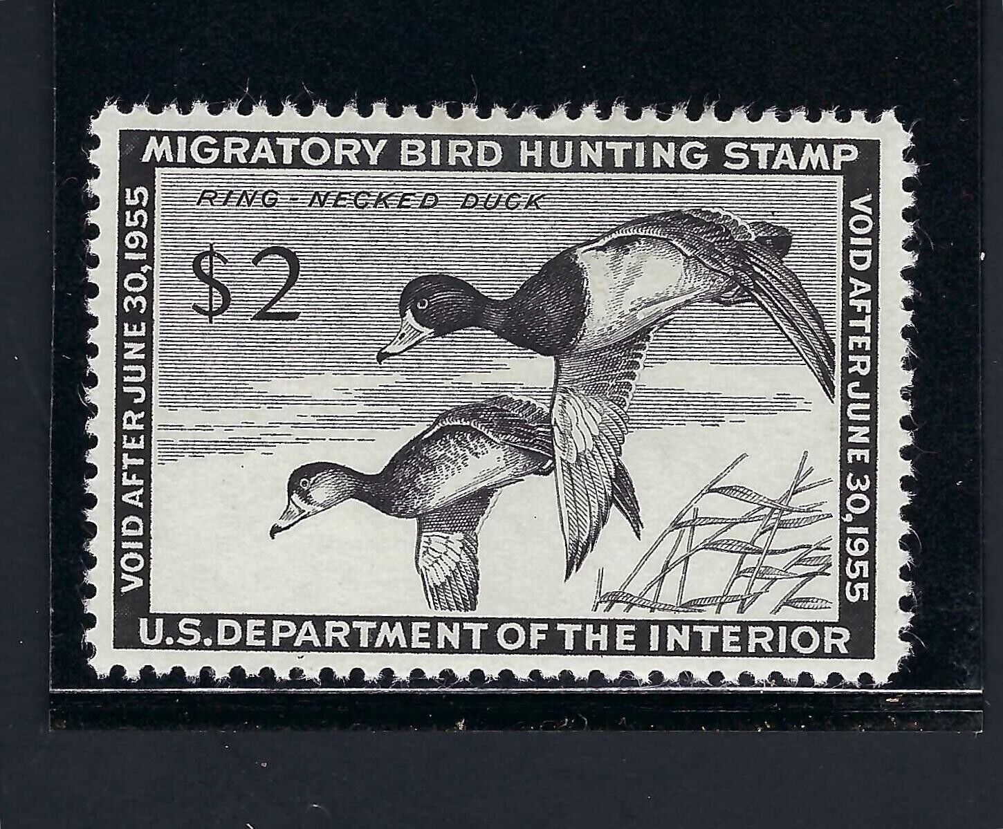 *Rw21, Extremely Fine, Light Hinge, Scott $85 | United States, Duck ...