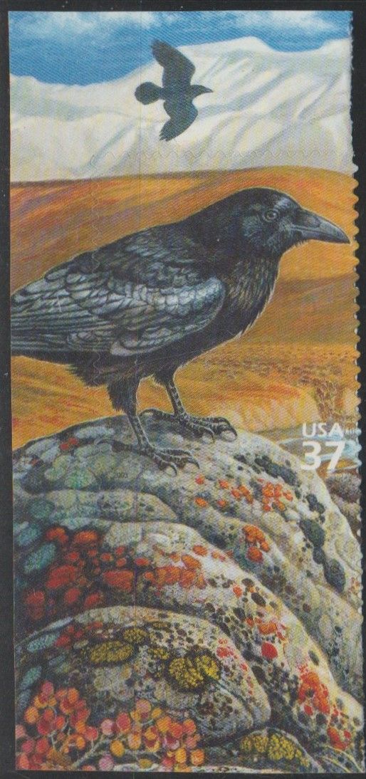 3802a, Single plus. "Common Raven" MNH, .37 cent | United States ...