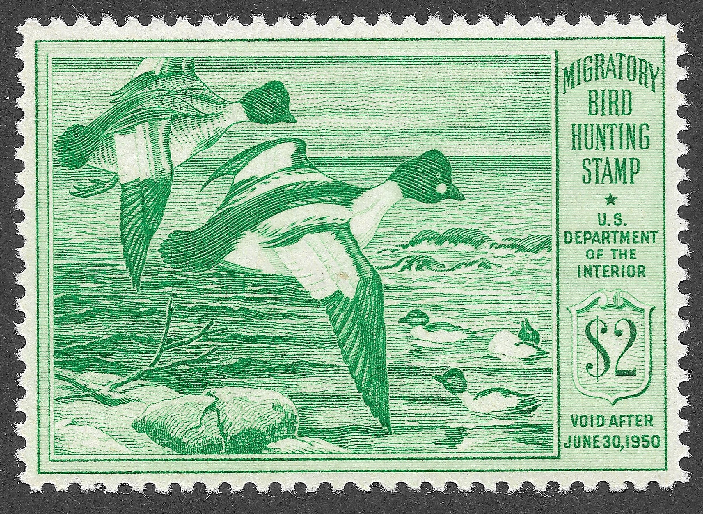 MNH 1949 Scott #RW16** Federal Duck Stamp | United States, Duck Stamps ...