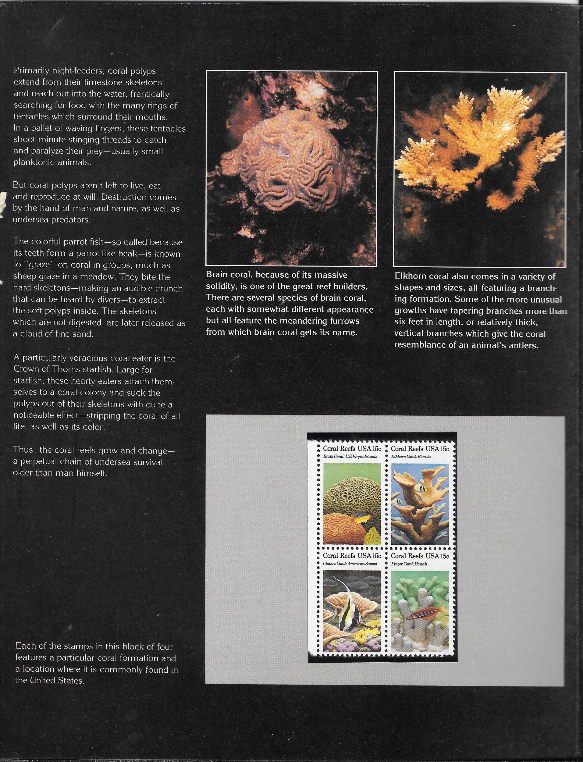 Just Fun Cover #1921-24 MNH Stamp Folio (my266) (((Stock Photo ...