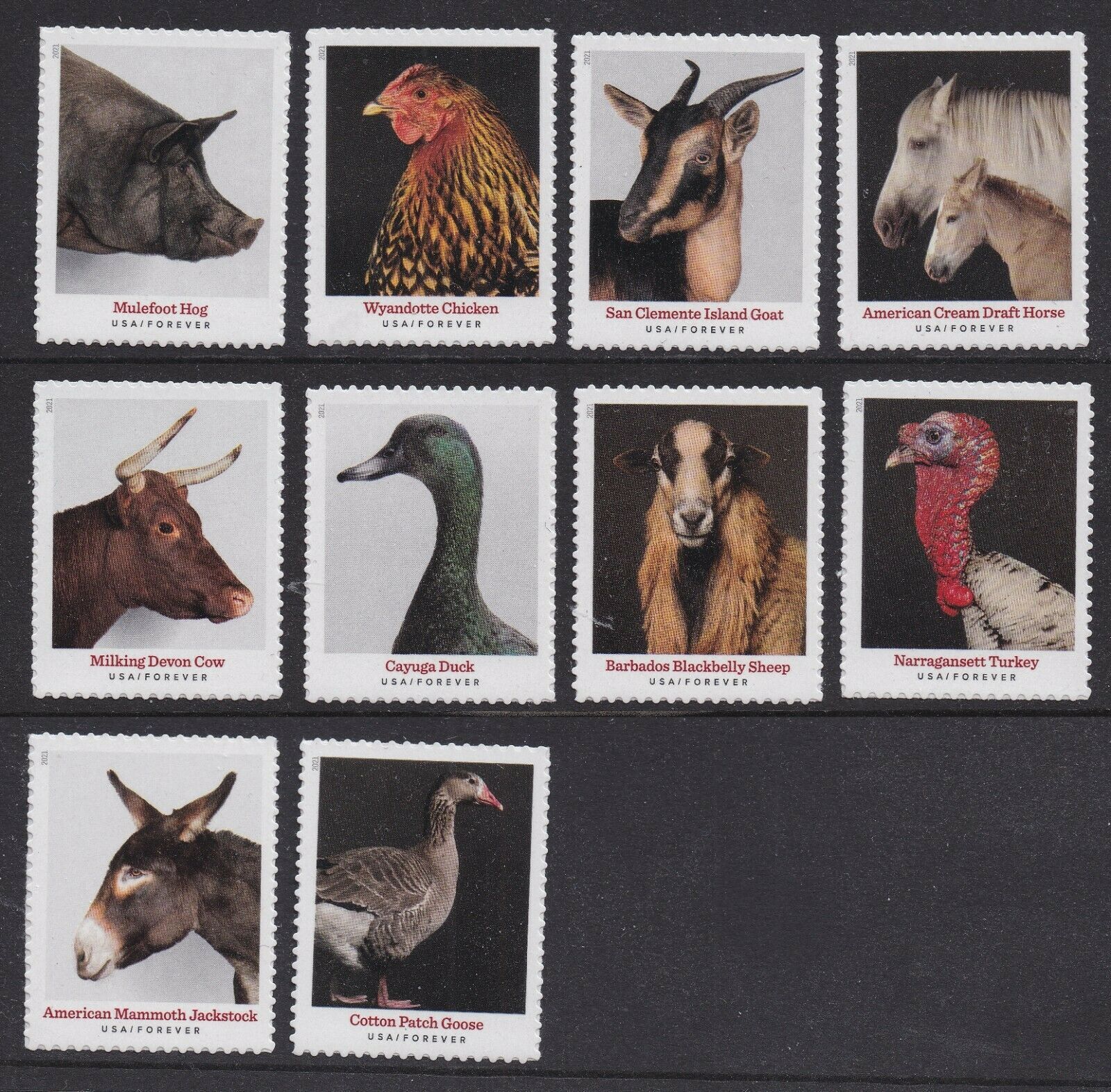 US 5583-5592 Heritage Breeds forever set (10 stamps) MNH 2021 | United ...