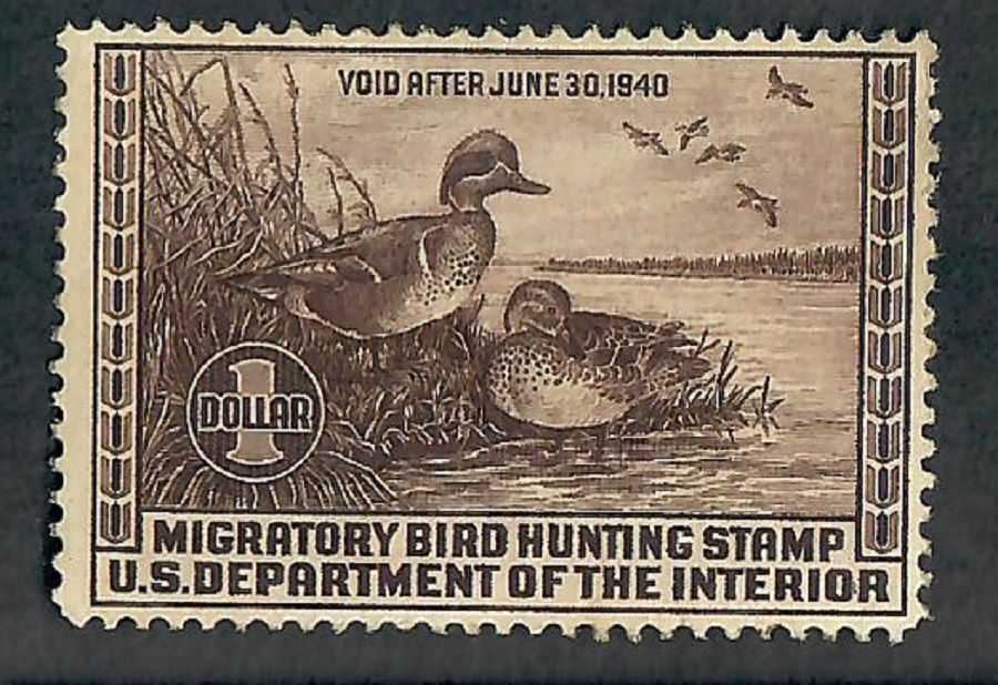 RW6 MNH Green-winged Teal Federal Duck single | United States, Duck ...
