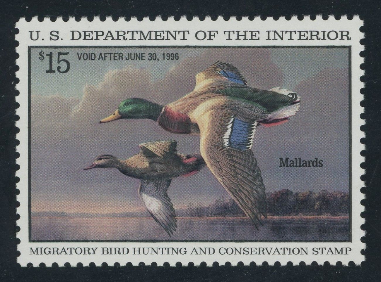 USA RW62 - 1995 Federal Duck Hunting Stamp - VF Mint never hinged ...