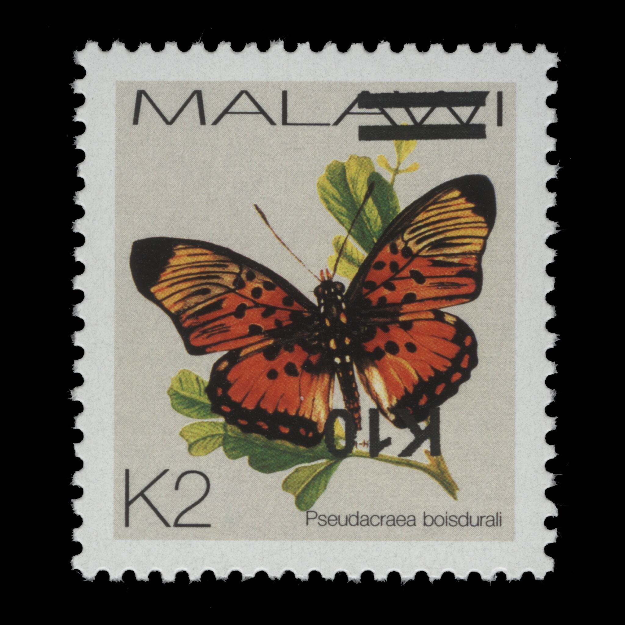 Malawi 2024 (Variety) K2/10 Psuedacraea Boisdurali with inverted ...
