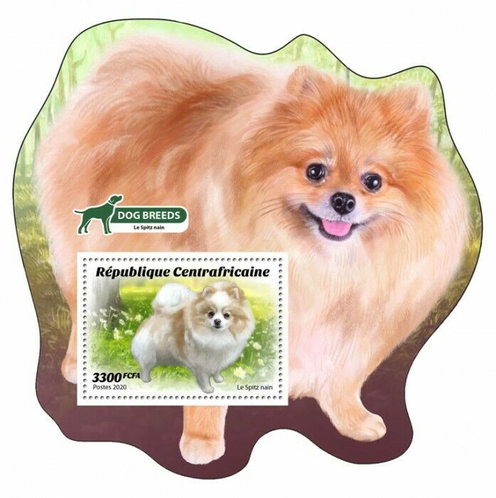 Central African Rep Dogs Stamps 2020 MNH Pomeranian Dog Breeds Spitz 1v ...
