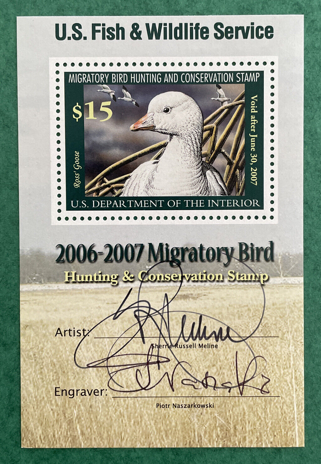 RW73b US Federal Duck Stamp 2006 Ross’ Goose $15 MNH Artist Signed ...