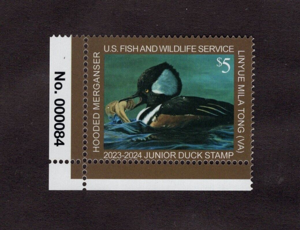 JDS31 - Junior Federal Duck Stamp. Plate Number Single. MNH. OG ...
