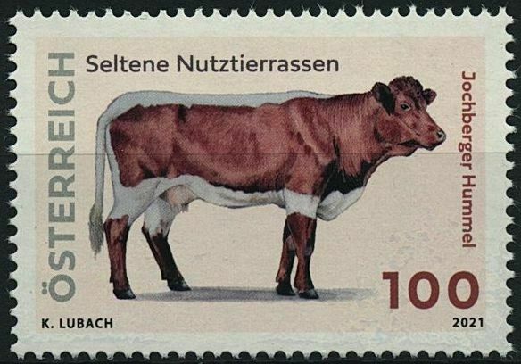 Austria 2021 MNH Farm Animals Stamps Jochberger Hummel Bumblebee Cows ...