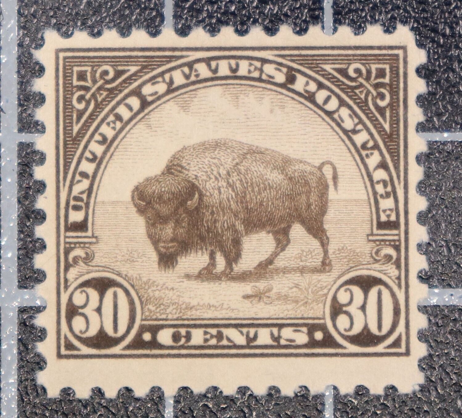 Scott 569 - 30 Cents Buffalo - MNH - Nice Stamp - SCV - $50.00 | United ...