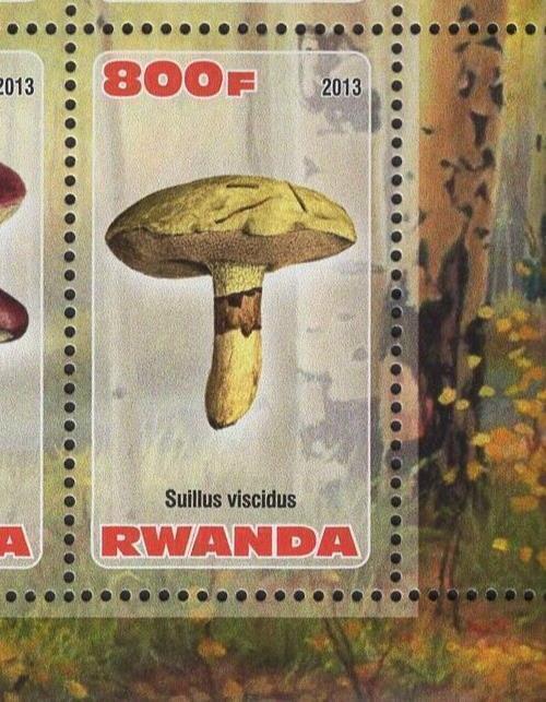 Mushroom Stamp Russula Sardonia Suillus Viscidus Souvenir Sheet MNH ...
