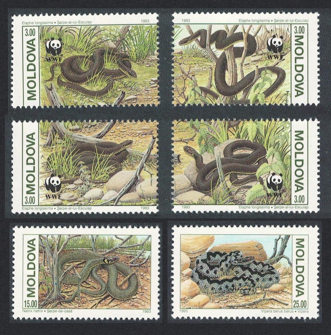 Moldova Snakes Protected Animals Fauna WWF 6v 1993 MNH SG#57-62 SC#72 ...