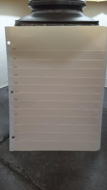 USED Pack of 20 Manila 12 Row Stock-pages for 3-Ring Binders ...