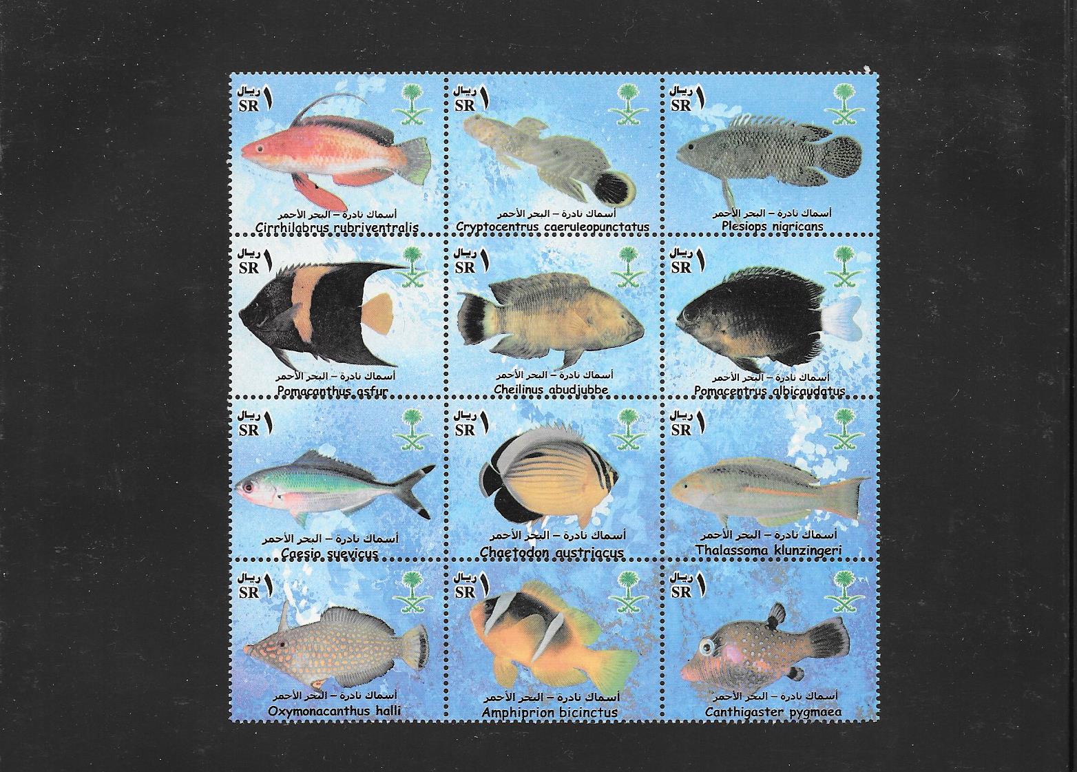 FISH - SAUDI ARABIA #1334 / HipStamp