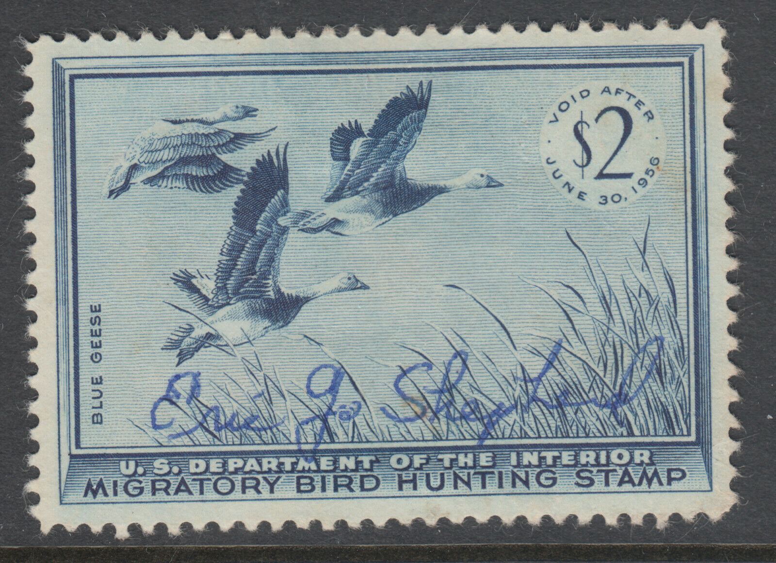US Sc RW22 used. 1955 $2 Blue Geese, Hunting Permit Stamp, fresh, F-VF ...