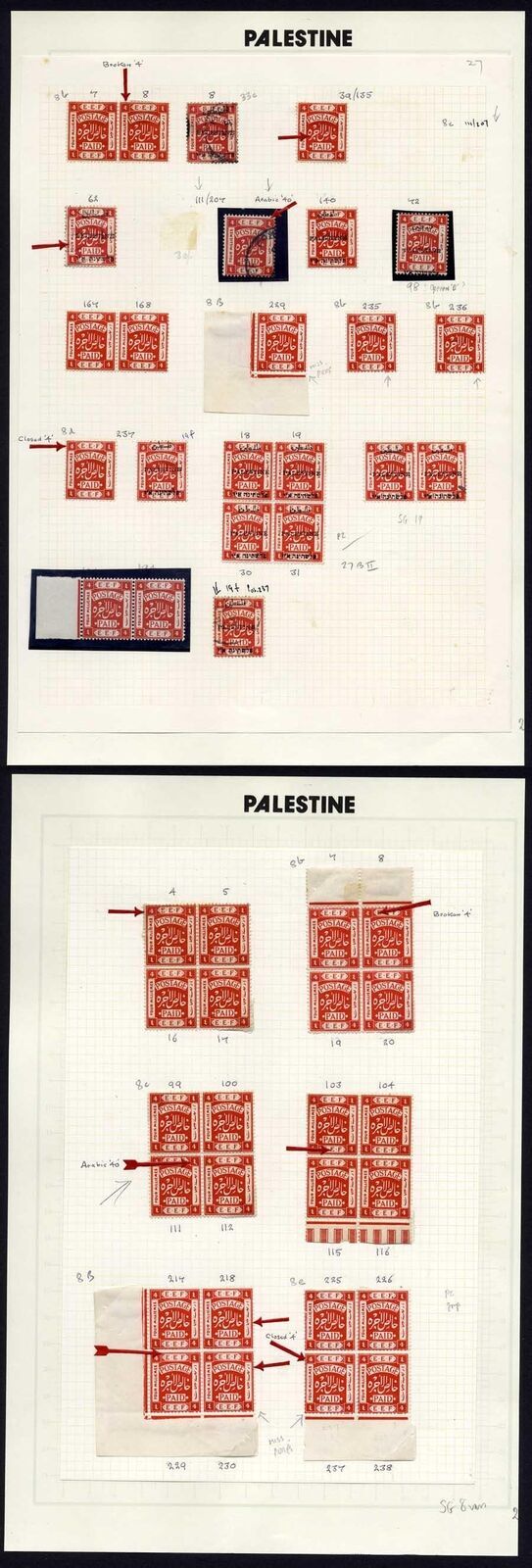 Palestine Collection of 4m Scarlet | Middle East - Palestinian ...