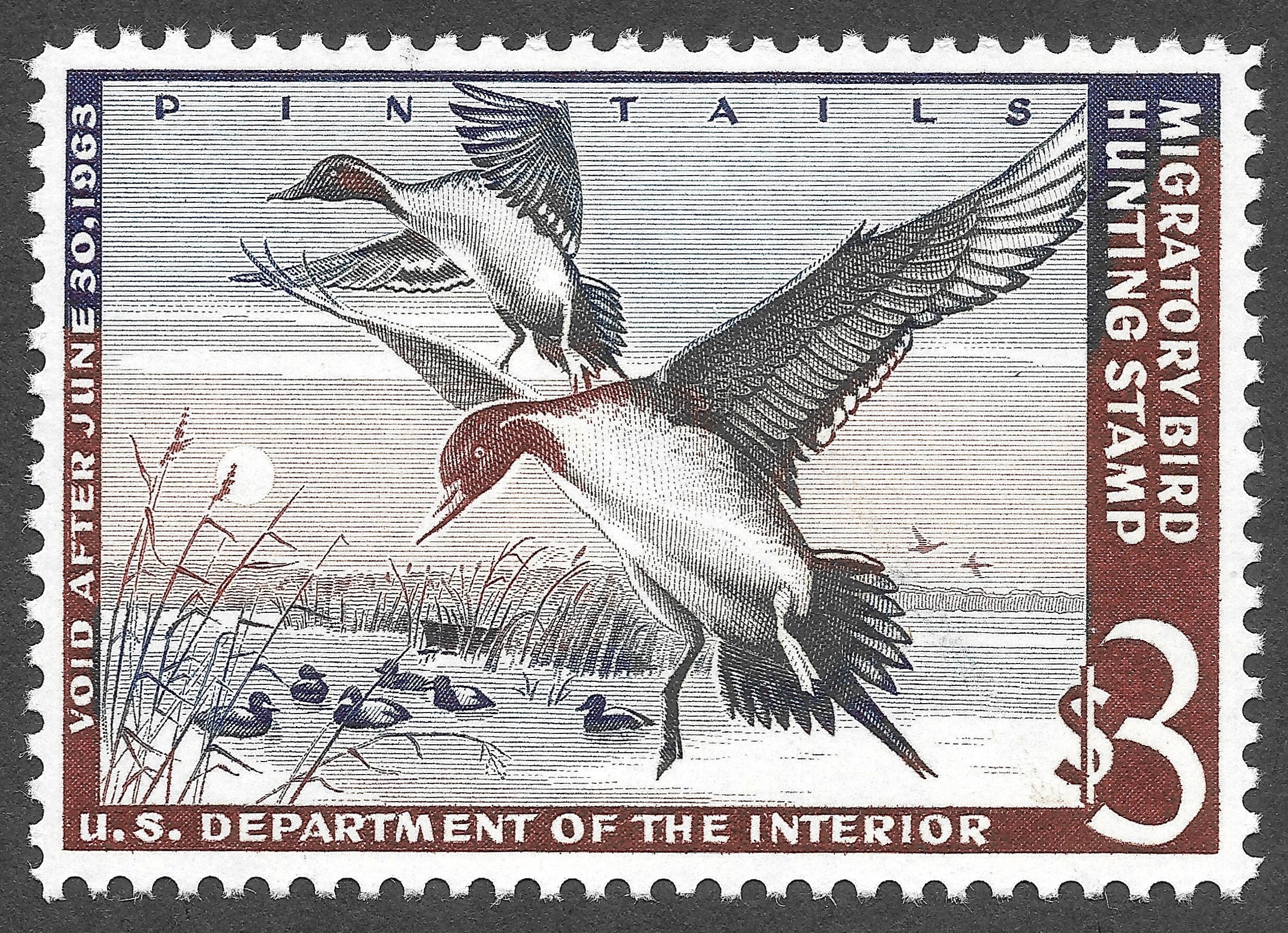MNH 1962 Scott #RW29** Federal Duck Stamp | United States, Duck Stamps ...