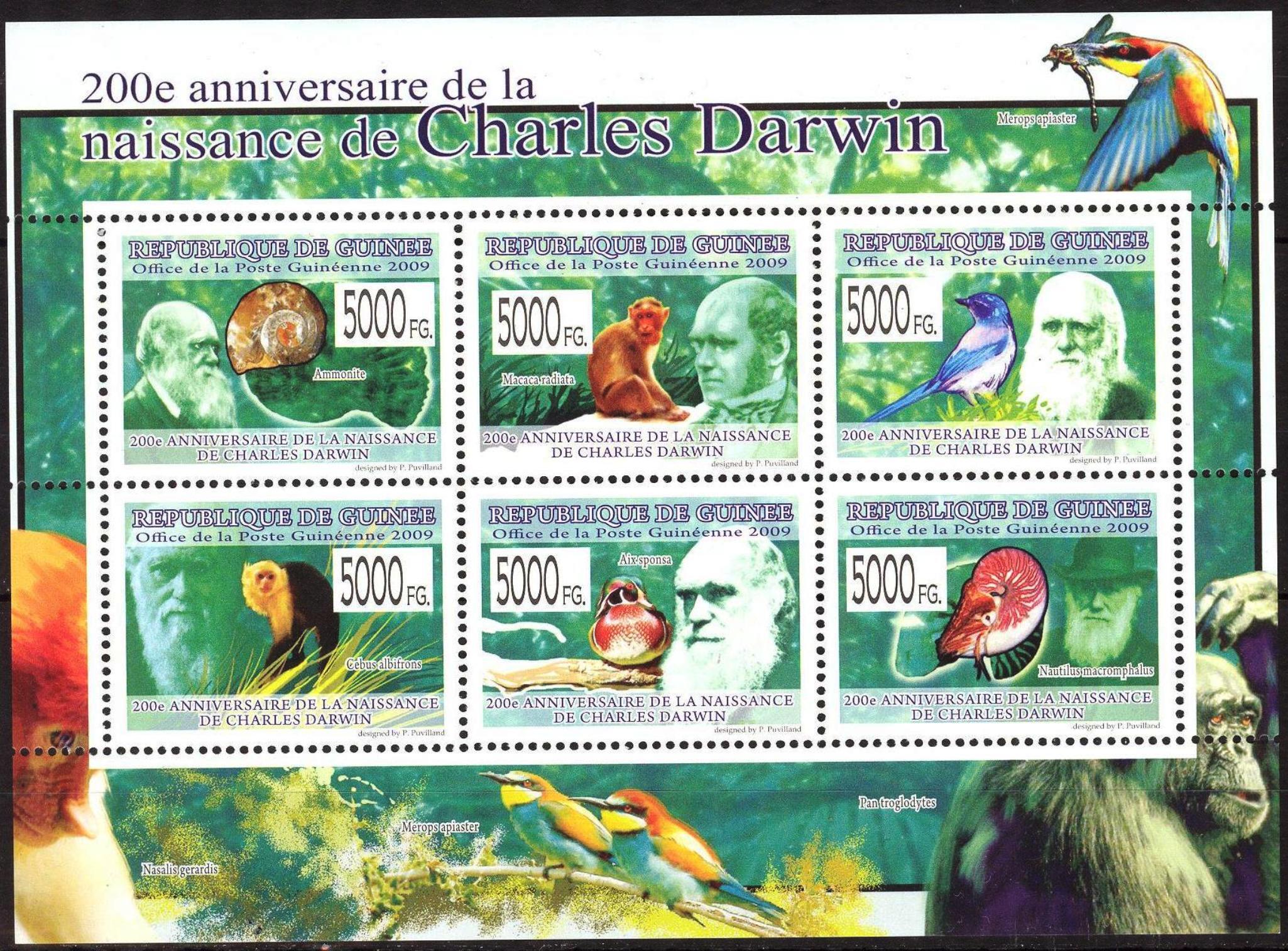 Guinea 2009 Charles Darwin Shells Monkeys Birds Sheet MNH | Africa ...