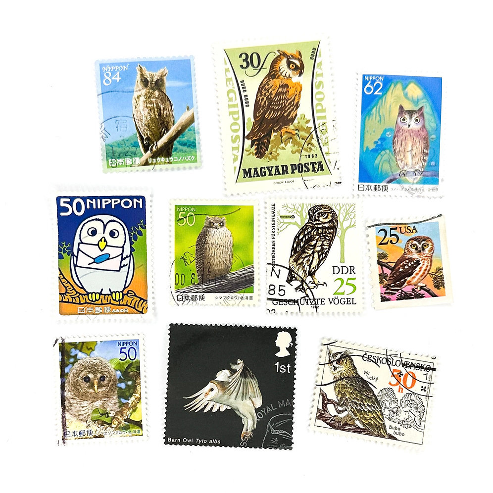 10 x Owl postage stamps - all different, from 6 countries - off paper ...