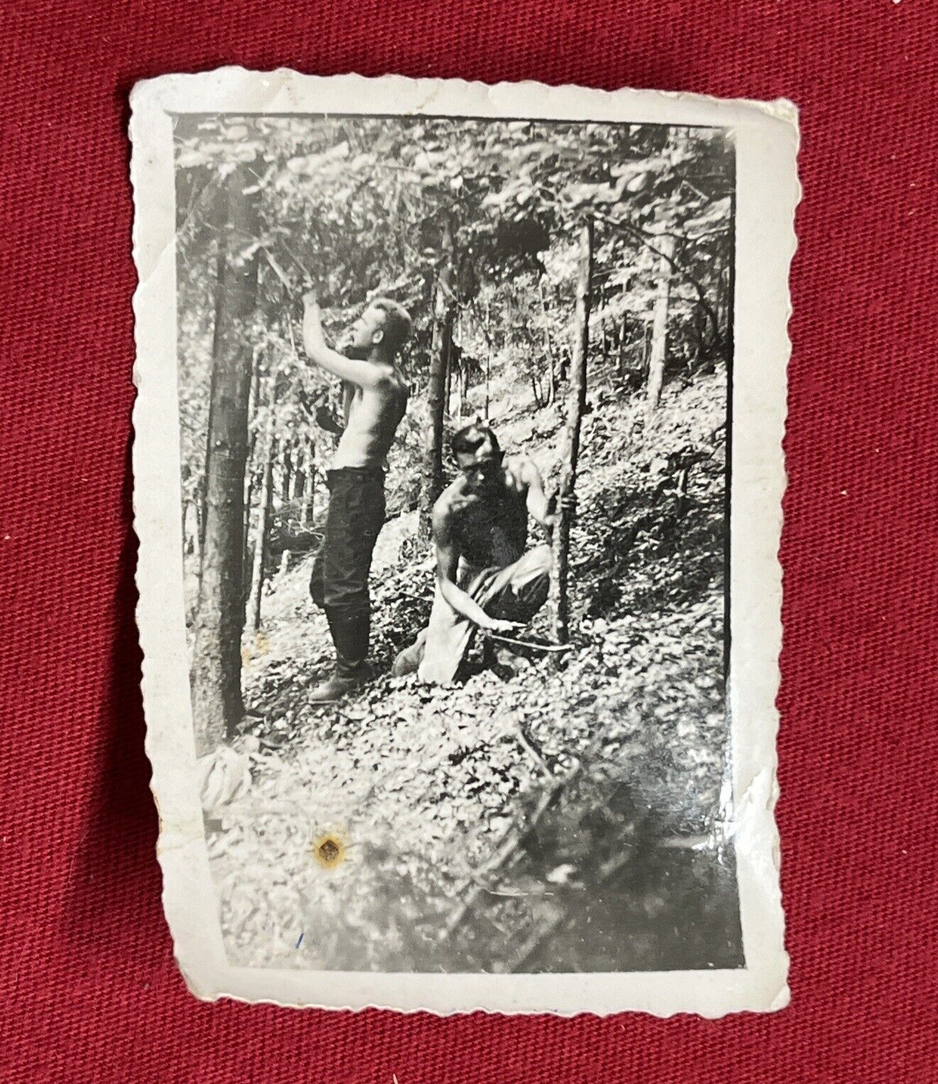 WW2 WWII Original German Military wartime Photo Soldiers Cutting Down ...