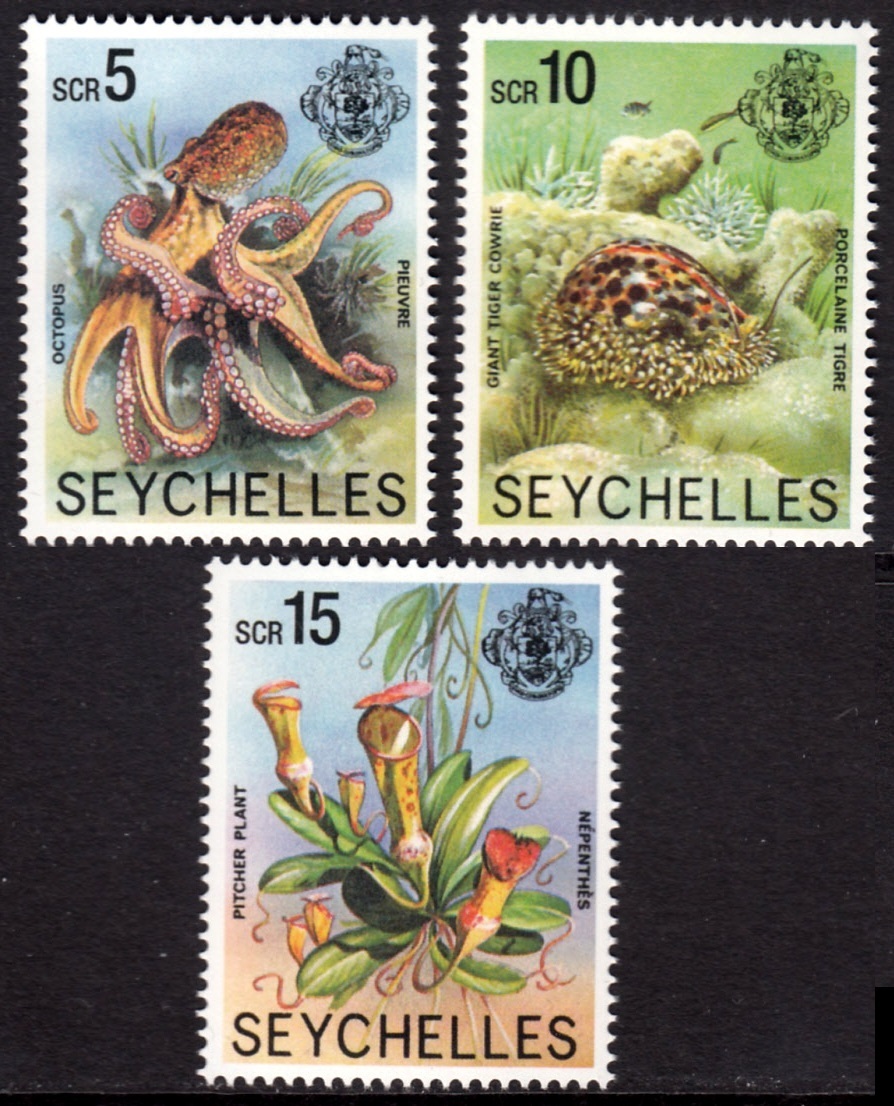 Seychelles 2024 Marine Fauna Flowers Octopus Shells Faune Marine ...