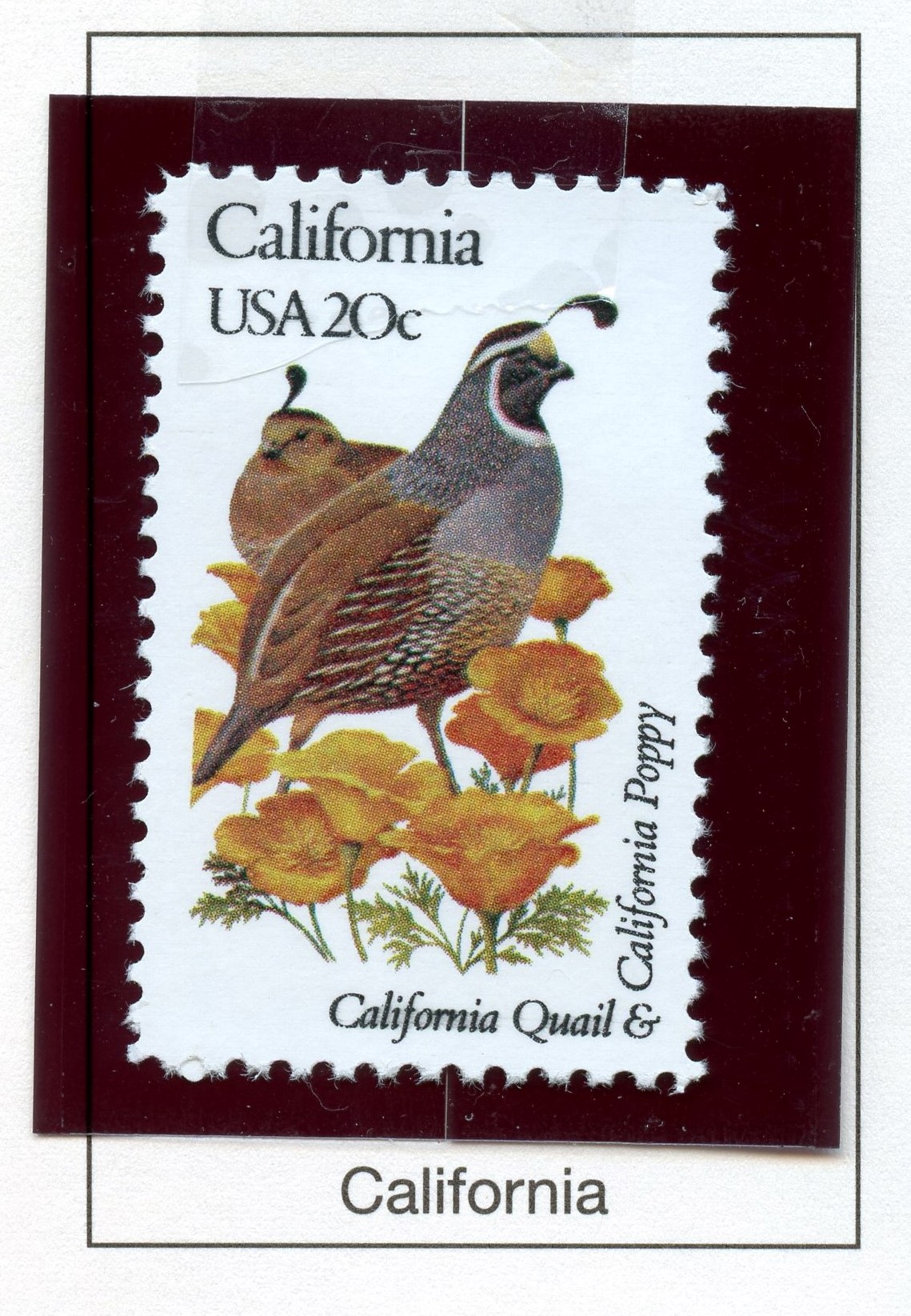 COMPLETE 5 PAGE - SET OF ALL 50 STATE BIRD STAMPS FREE SHIPPING U.S ...