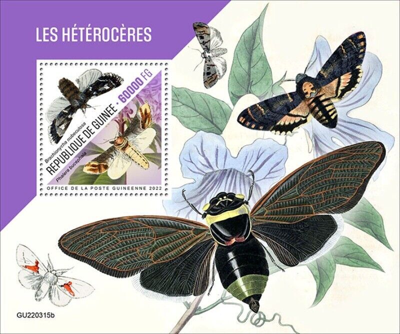 Guinea - 2022 Moths, Rannoch Sprawler, Buff-tip - Stamp Souvenir Sheet ...