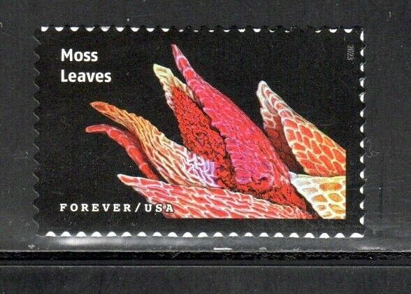 5802d * Moss Leaves * Life Magnified * U.S. Postage Stamp MNH | United ...