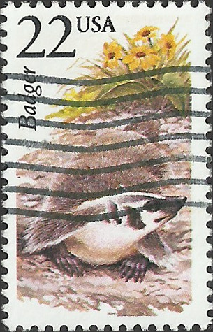 # 2312 Used Badger | United States, General Issue Stamp / HipStamp