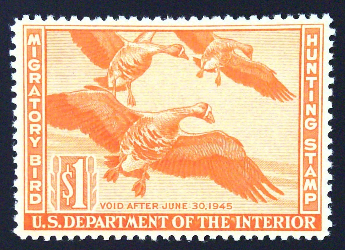 Scott #RW11 - VF/XF - $1 Red Orange - White-fronted Geese - Glazed ...