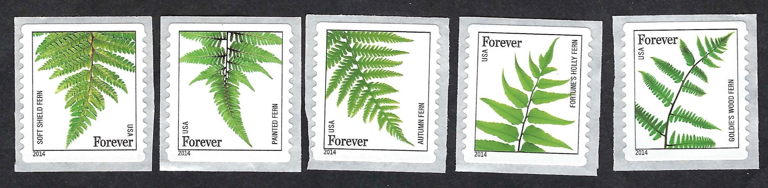 United States #4973-77 Forever (49¢) Ferns (2014 date). Five coil ...