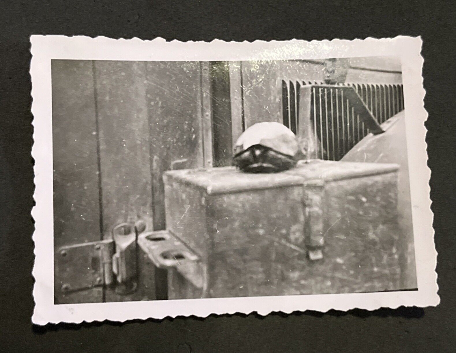 Turtle In It’s Shell WW2 WWII German Nazi Third Reich Photo Picture ...
