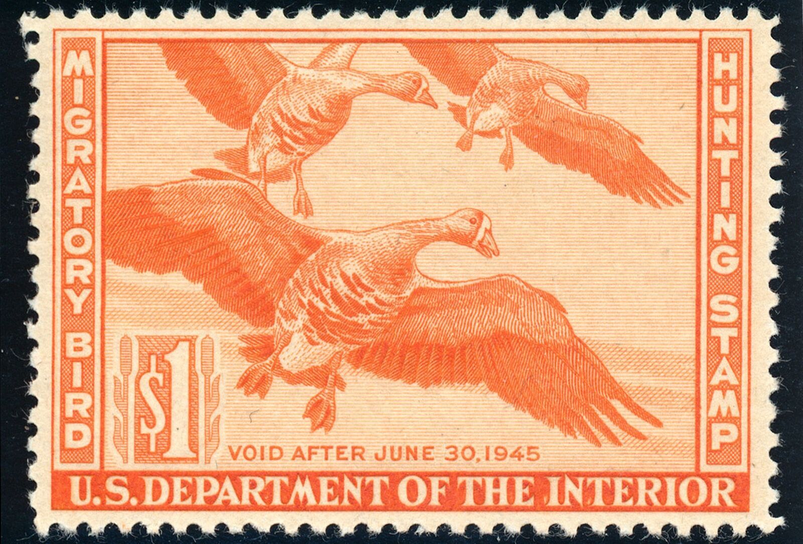 US RW11 $1 1944 Hunting Permit Stamp White-Fronted Geese F-VF unused OG ...