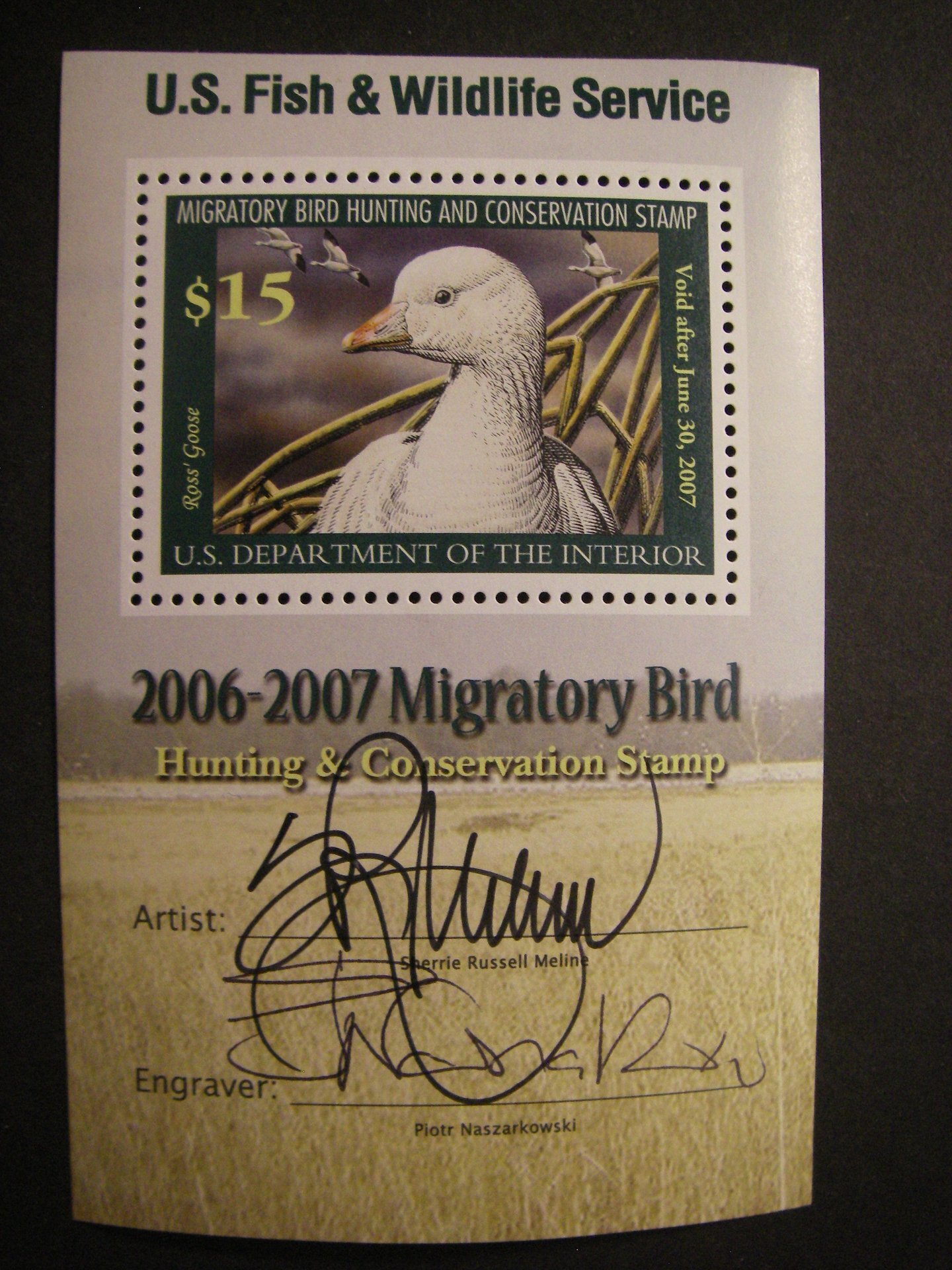 RW73b, $15 Ross' Goose, MNH Souvenir Sheet Single, Artist & Engraver ...